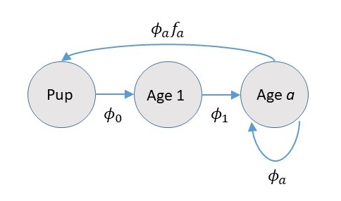 Design of CKMR Experiments lab | Close-kin mark-recapture: Theory and ...